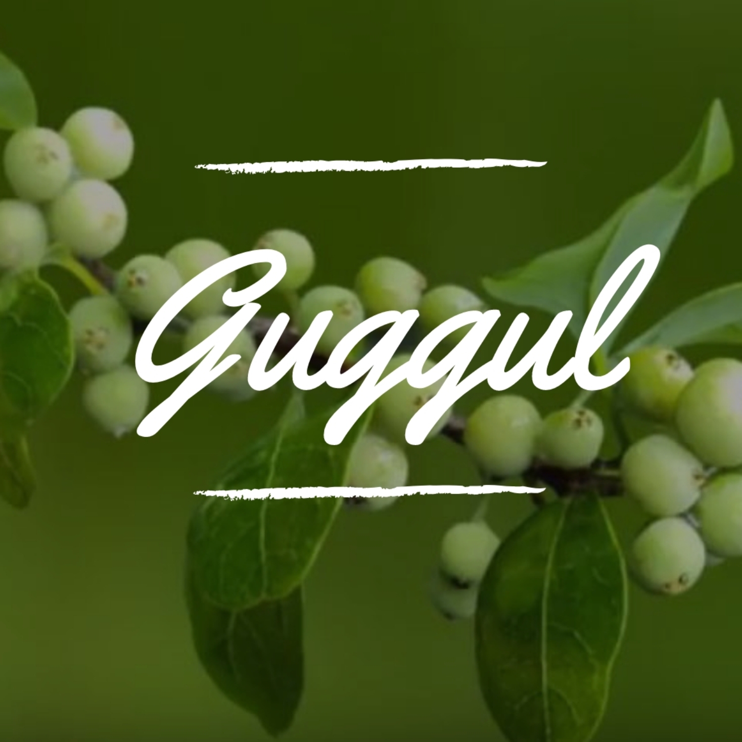 ¿Colesterol alto? Si no quieres tomar pastillas, prueba estos remedios naturales | Pag: 5