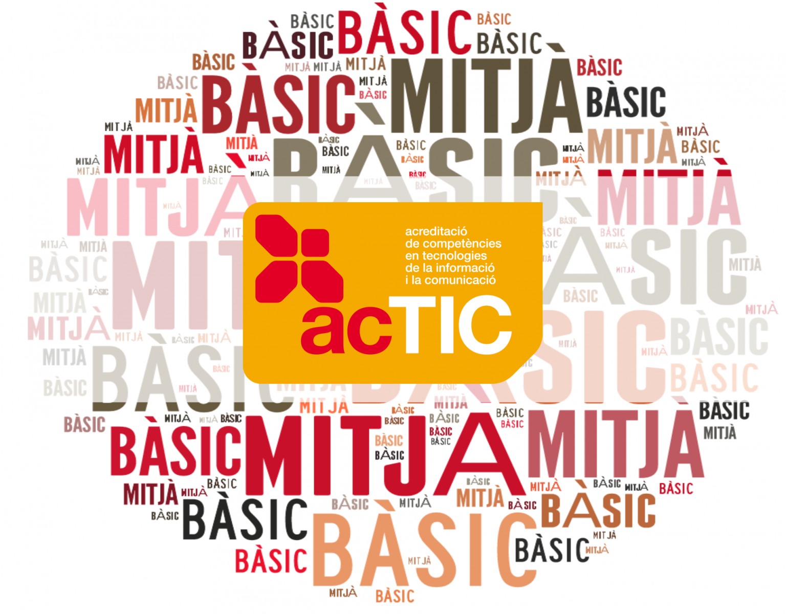 Qué es ACTIC: cómo funciona y cómo puedes obtenerlo tú