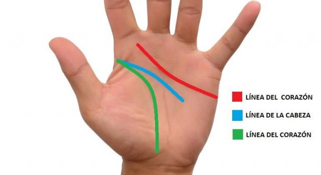 Cómo leer la mano, el significado de sus lineas y composición