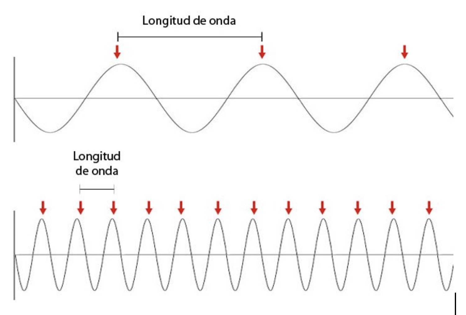 Qué es la frecuencia, cómo se manufiesta en nuestra vida