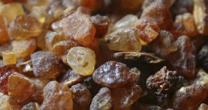 Qué es la mirra, cuál es su origen y cómo se usa hoy