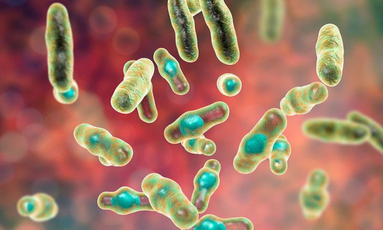 Qué es una infección, cuáles son sus causas y síntomas