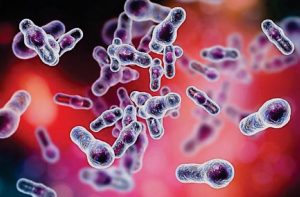 Qué es una infección, cuáles son sus causas y síntomas