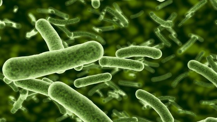 Qué es una infección, cuáles son sus causas y síntomas