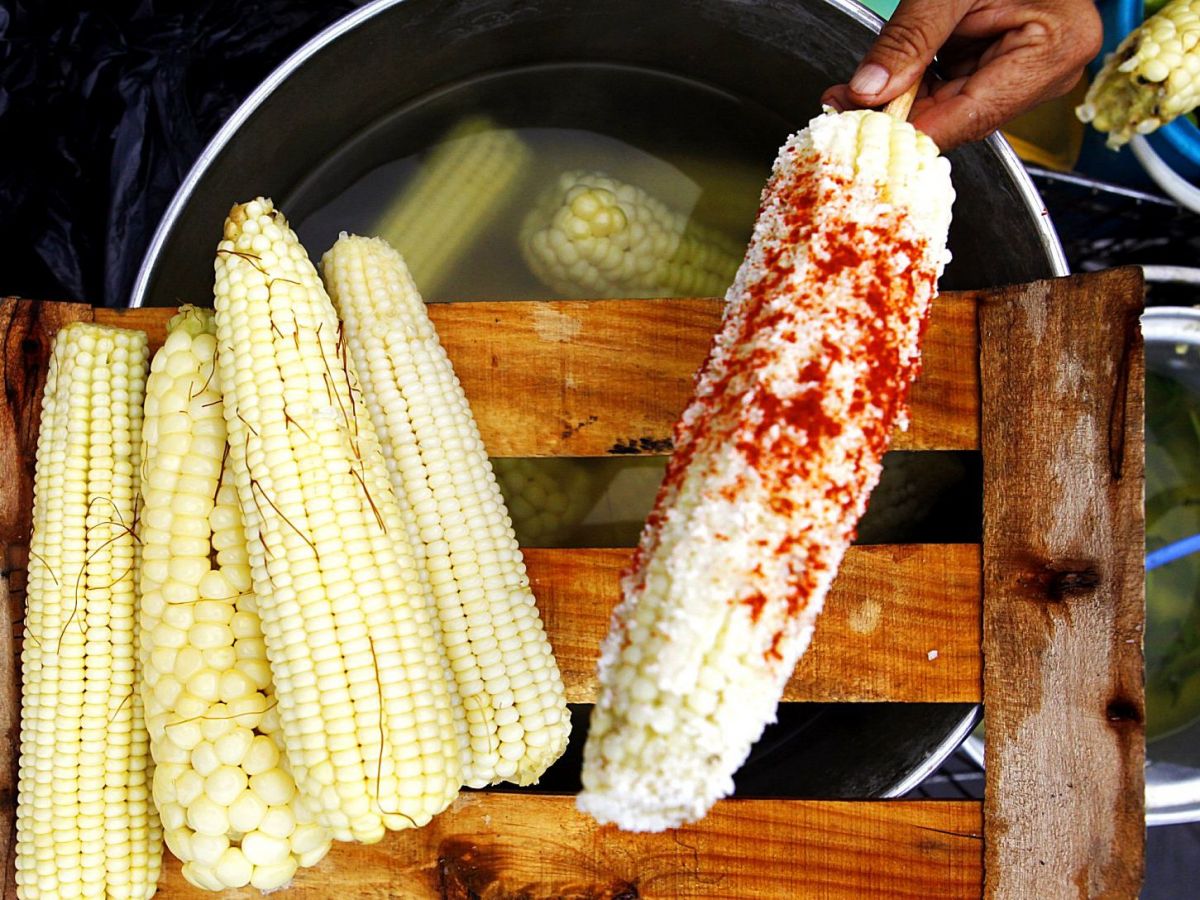 Qué es un elote, cómo se prepara y cuál es su posición en la gastronomía