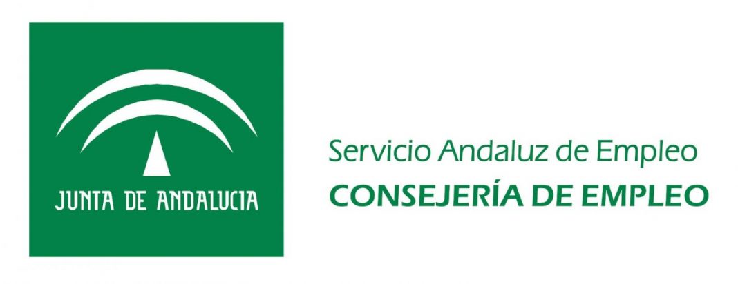 Que es el SAE Que es el SAE
