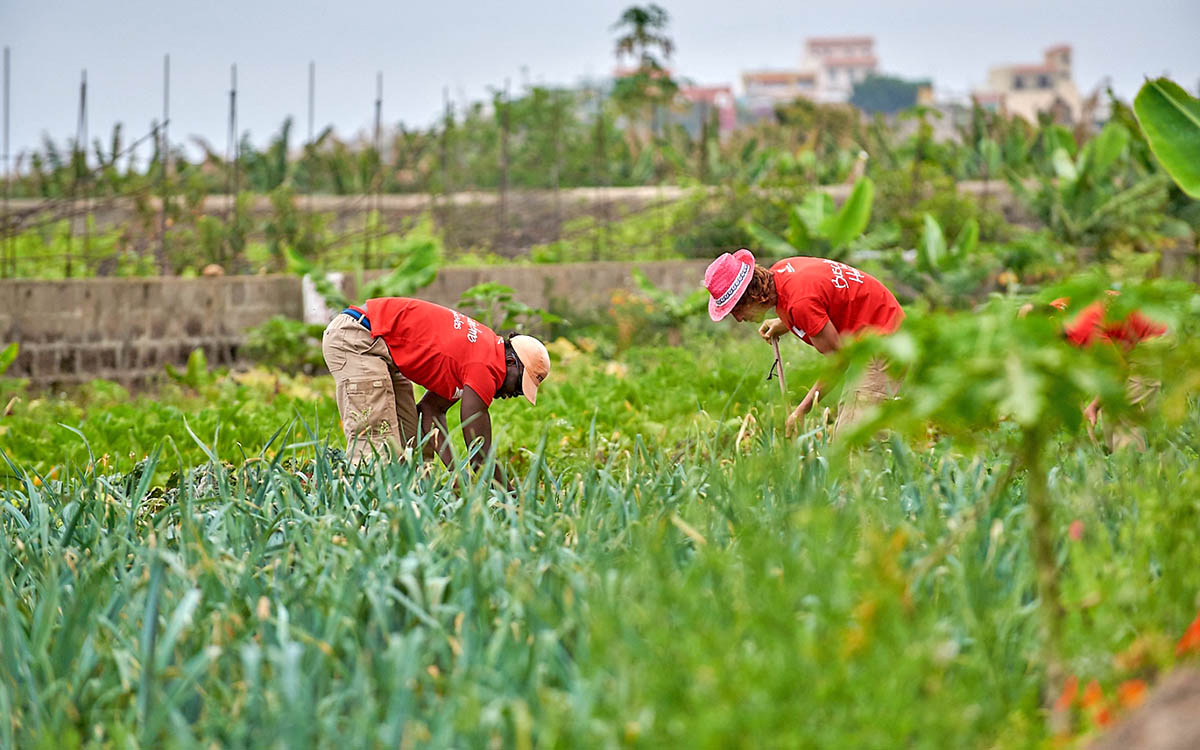 Qué es el sector primario