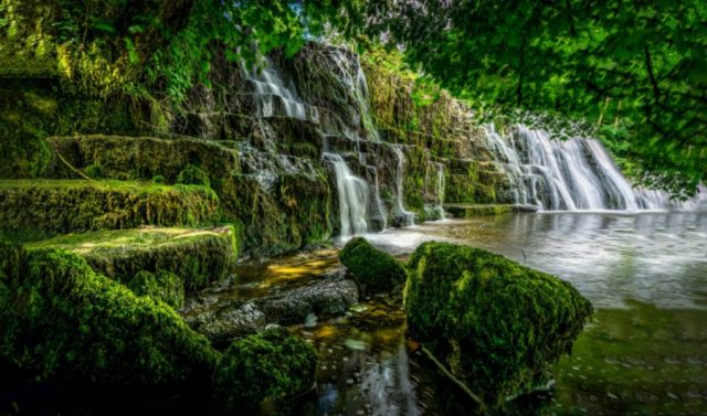 Qué es una reserva natural