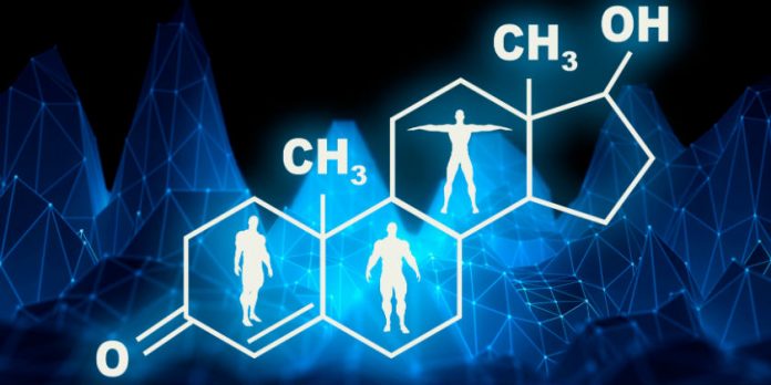 Qué es la testosterona