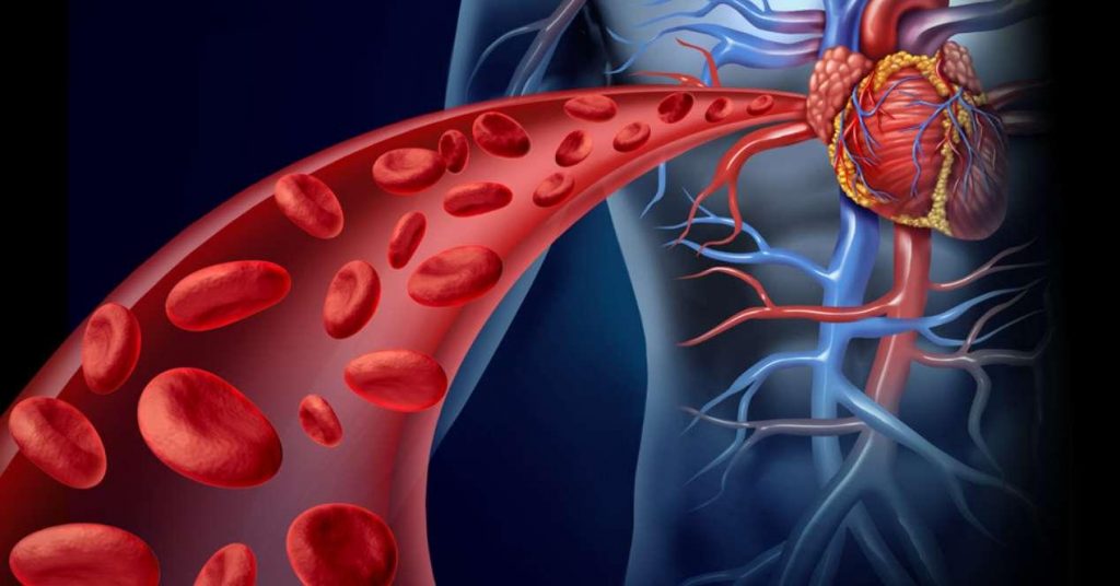 Qué son los triglicéridos