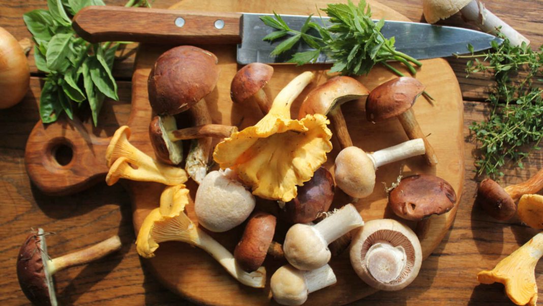 Cómo hacer setas al vino blanco en menos de 10 minutos