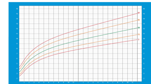 Qué es un percentil