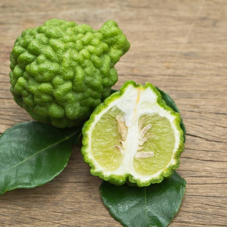 Qué es la bergamota y para qué sirve