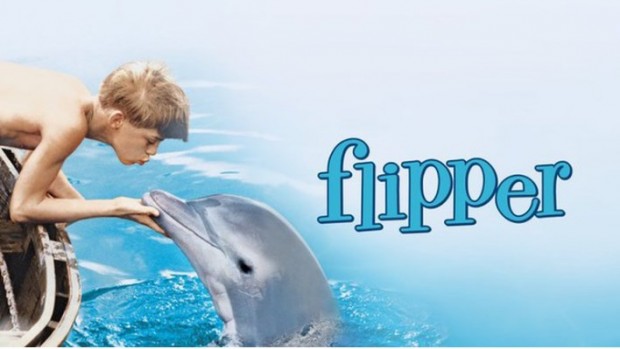 El trágico final de Flipper que nunca te han contado