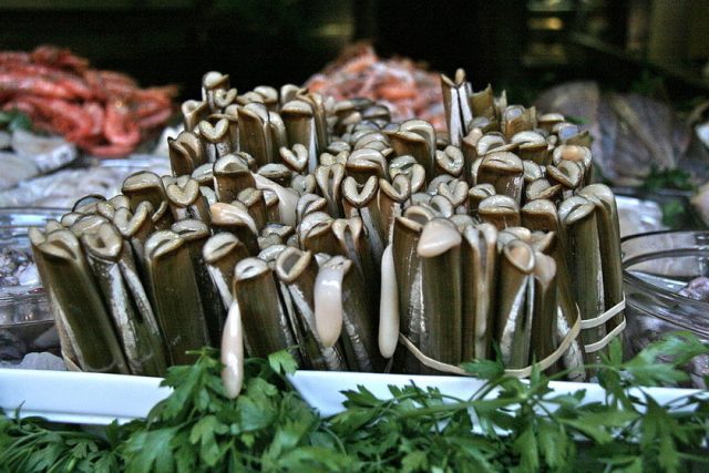 La receta de navajas a la plancha más famosa de Galicia que puedes ...