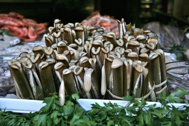La receta de navajas a la plancha más famosa de Galicia que puedes ...