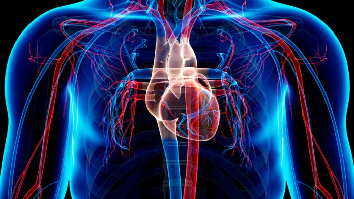 Cáncer de corazón: síntomas que avisan que tienes un tumor difícil de ...