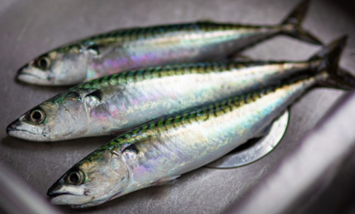 Boquerones en vinagre: el truco para que queden blancos y en su punto