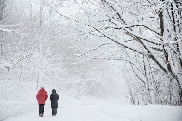 Las curiosidades sobre el frío que te dejarán helado