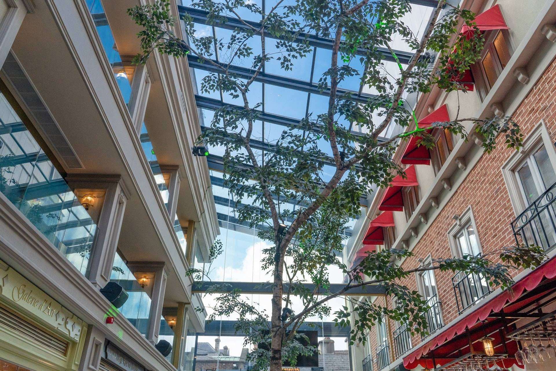 Compass Research brinda cerramientos motorizados para hostelería que se ...