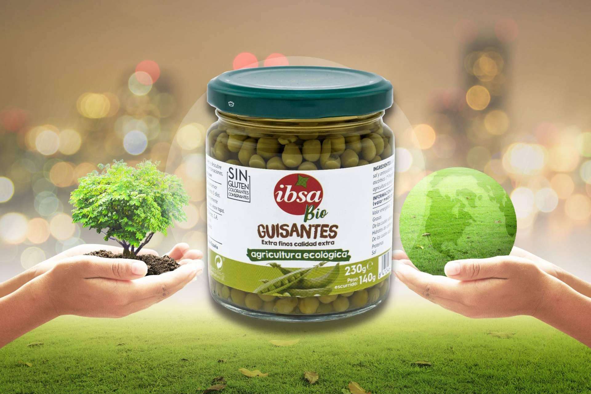 Las conservas vegetales claves para una alimentación saludable, de la ...