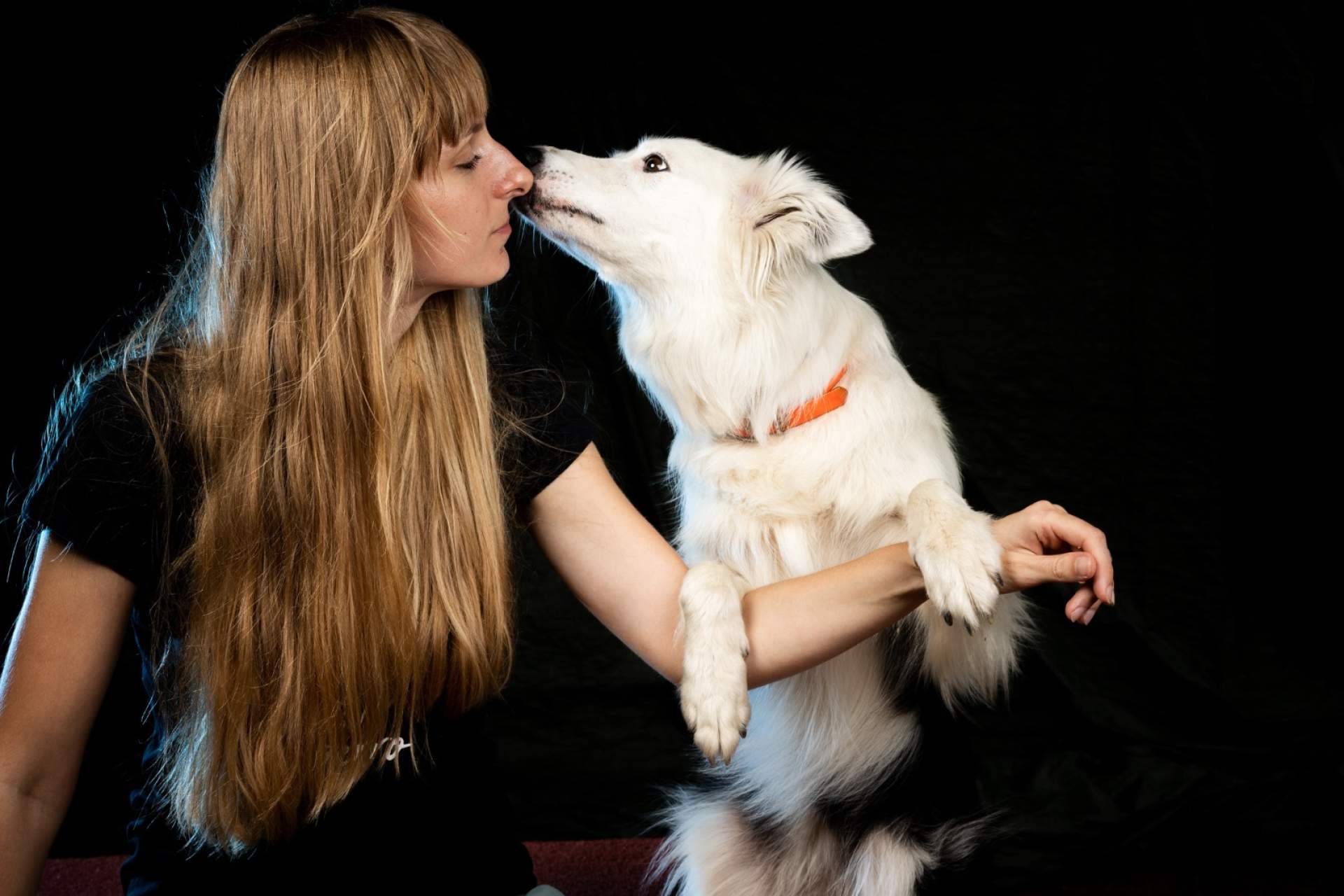 Fortalecer el vínculo entre perros y dueños con las habilidades caninas