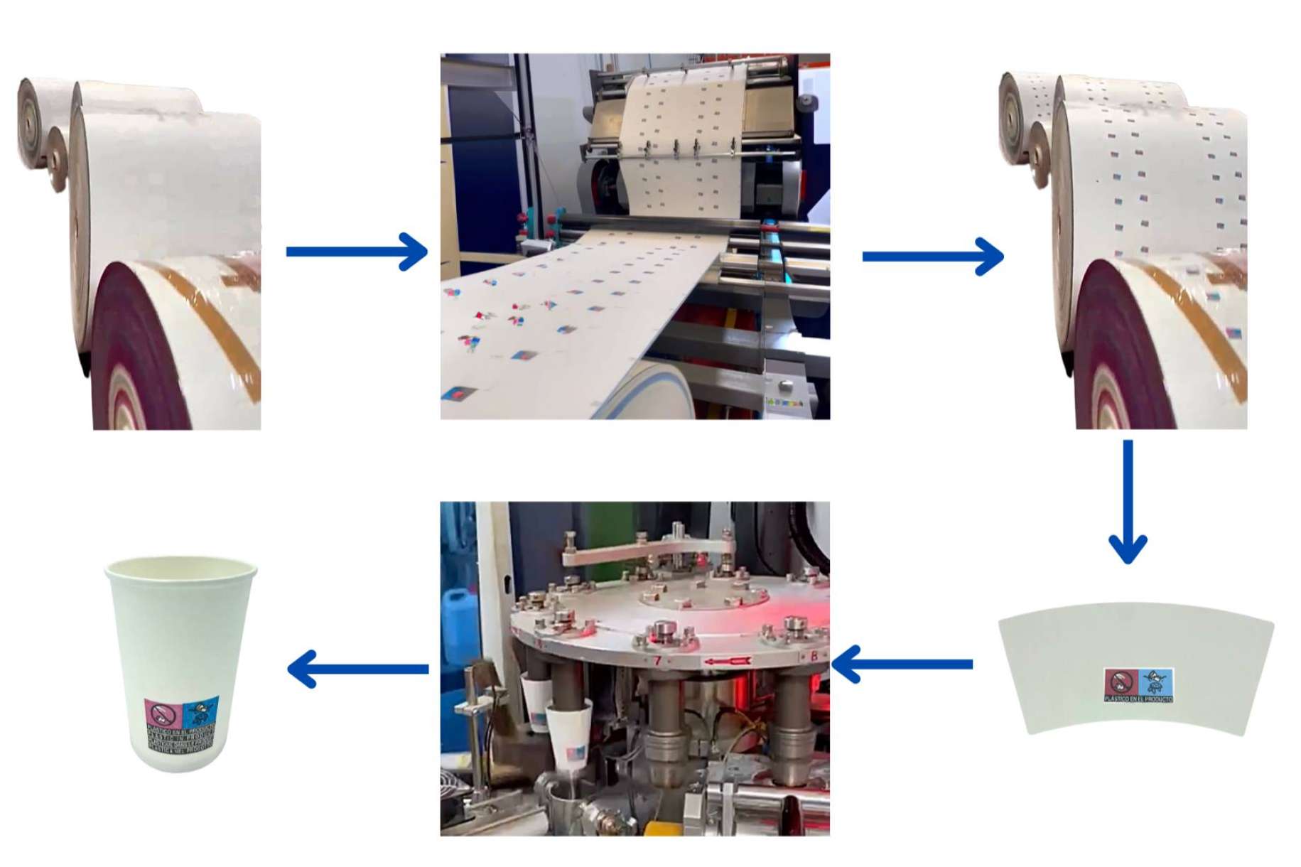 Cómo es el proceso de fabricación de los vasos de cartón en España con ...