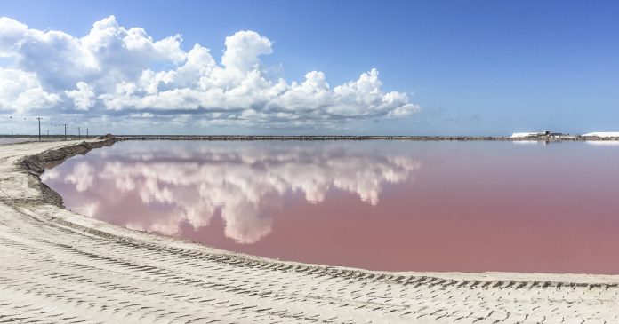 Aunque no te lo creas, el ‘lago rosa’ es real y te puedes bañar en él