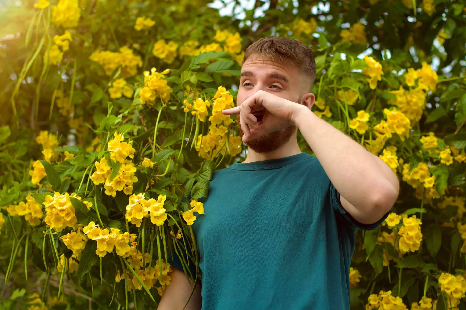 ¿Qué es la astenia primaveral?, síntomas y formas de combatirla con ...