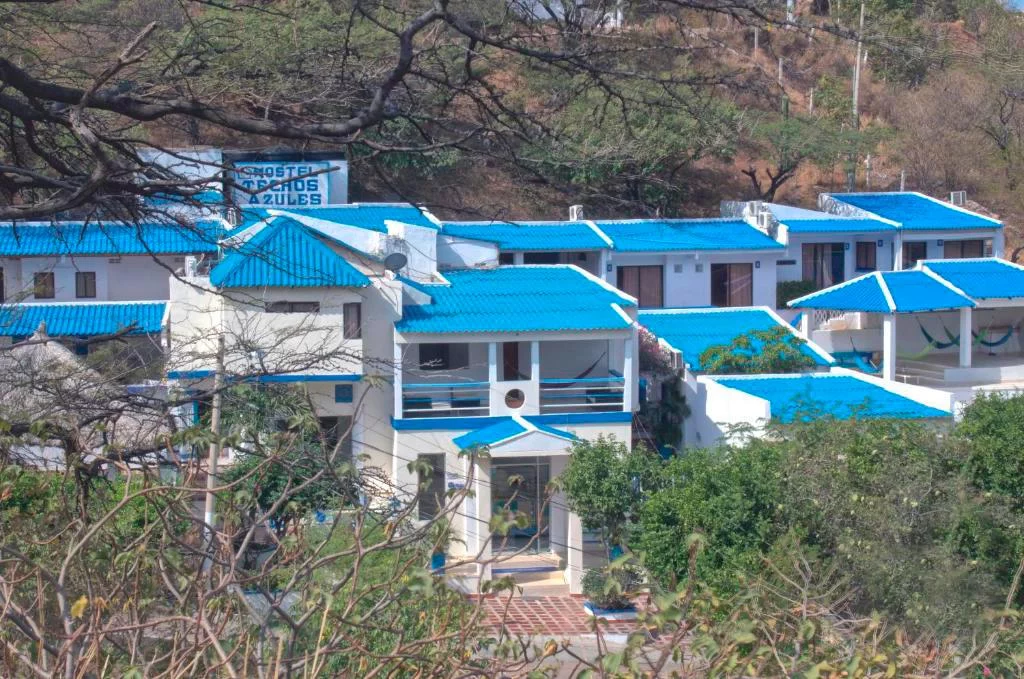 Video muestra la perturbadora razón por la que los chinos están ...